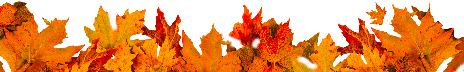 Virtual Computer Labs | Apporto